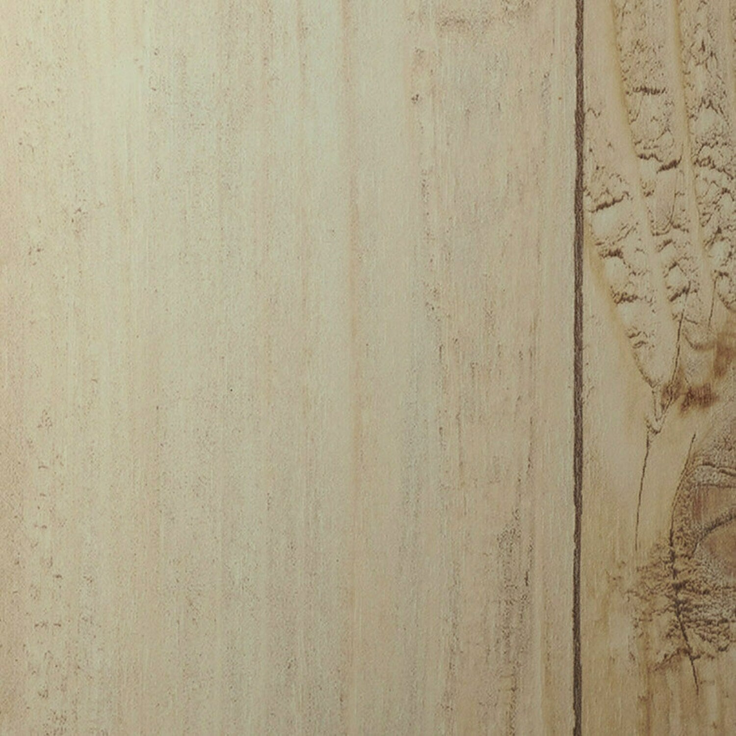 3M™ DI-NOC™ Architectural Finishes Fine Wood FW-2425, Wood, 1220 mm x ...